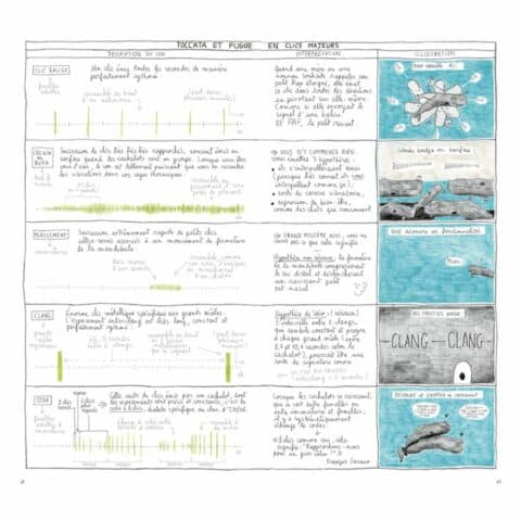Essai graphique "S'il te plaît, dessine moi un cachalot"
